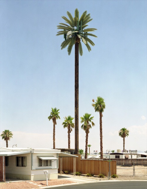 Camouflaged Cell Phone Towers | Amusing Planet